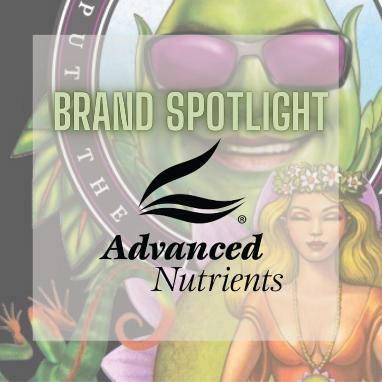 Brand Spotlight: Advanced Nutrients – Steel Roots